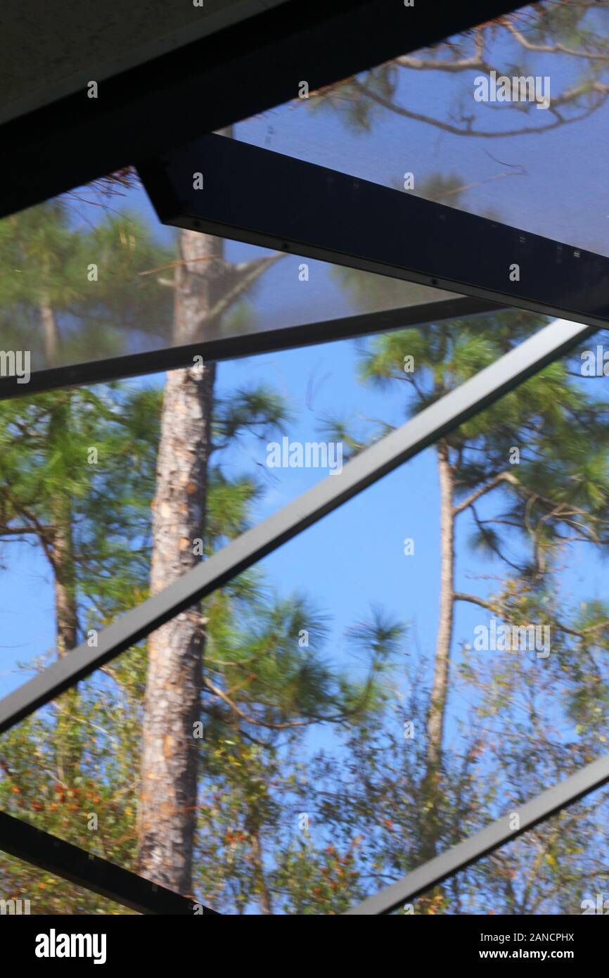 Tree Needle and Leaves Protection Canopy Stock Photo - Alamy