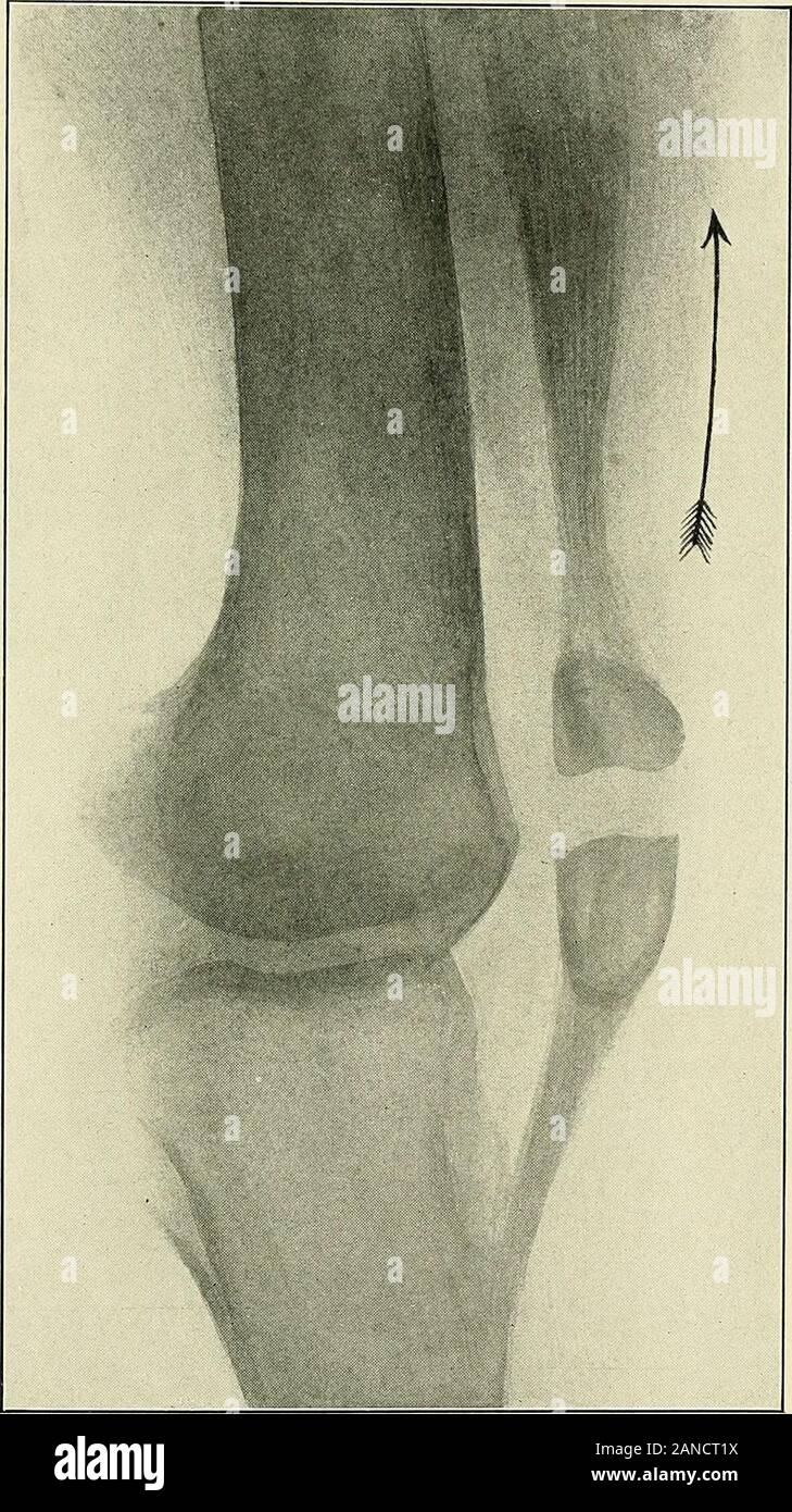 A text-book of clinical anatomy : for students and practitioners . Fig ...