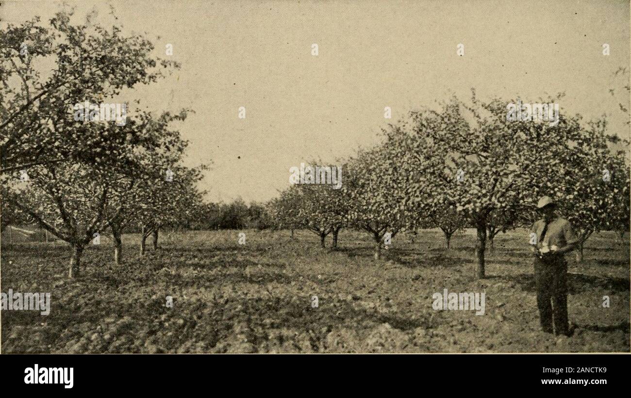 Productive orcharding, modern methods of growing and marketing fruit ...