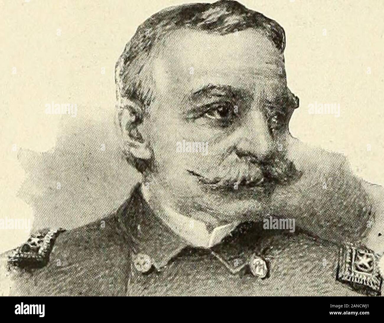 Panther division hi-res stock photography and images - Alamy