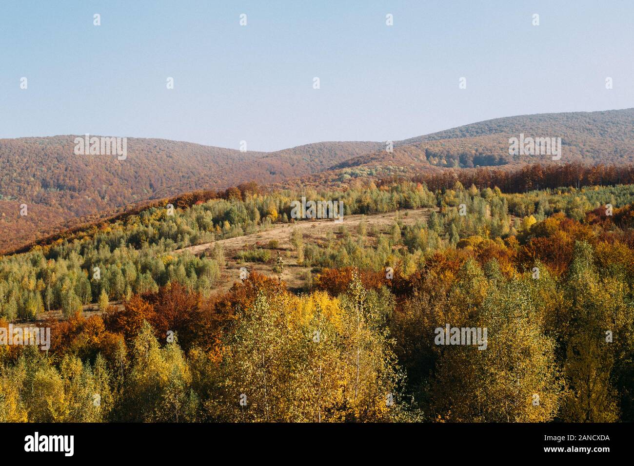 Colorful trees hi-res stock photography and images - Alamy