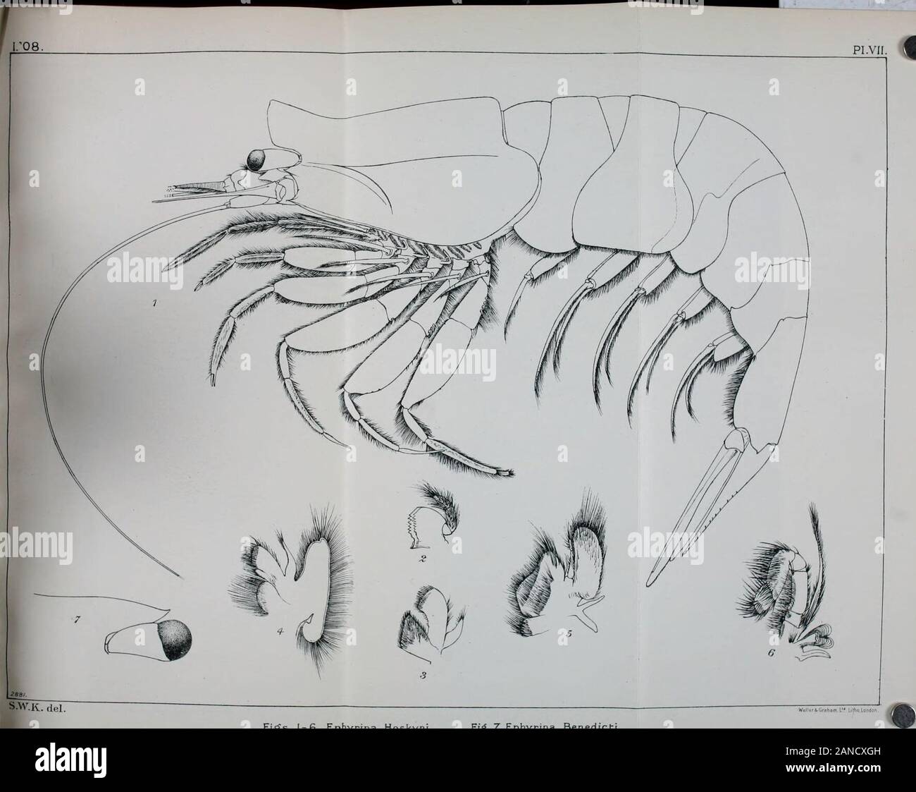 Benedict iii hi-res stock photography and images - Alamy