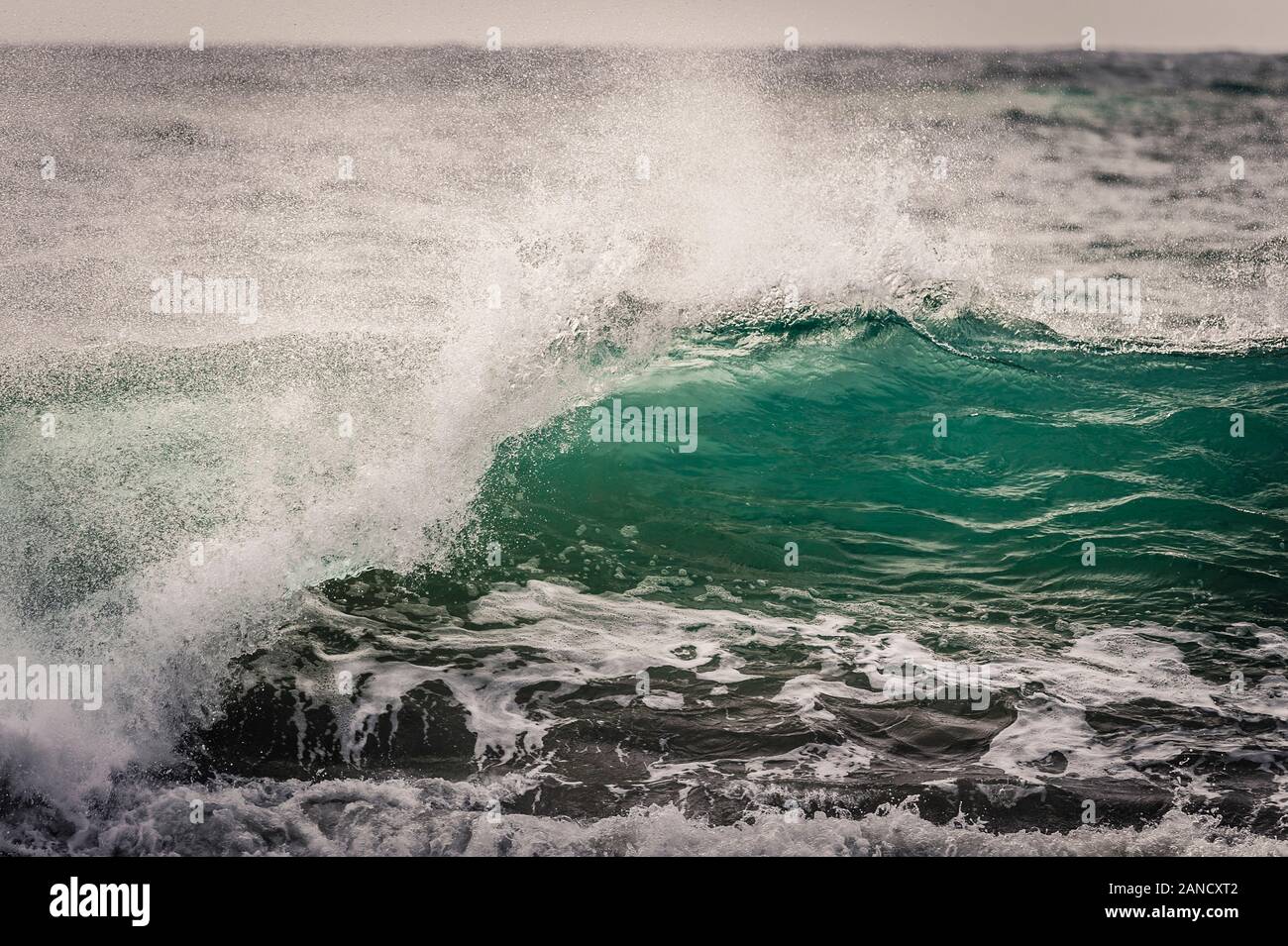 A sea wave breaking hard at the beach Stock Photo - Alamy