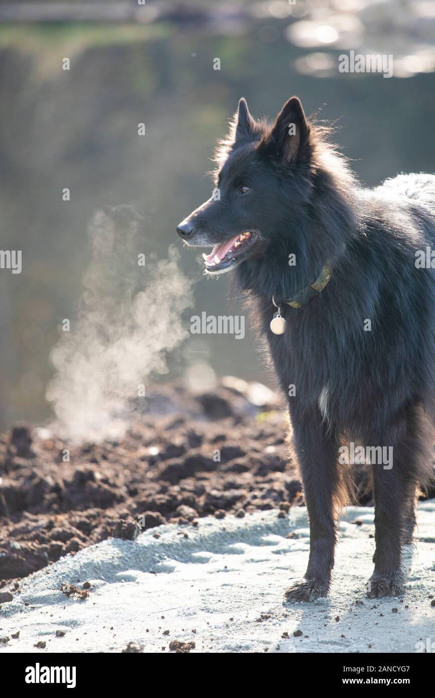 Cold day breath hi-res stock photography and images - Alamy