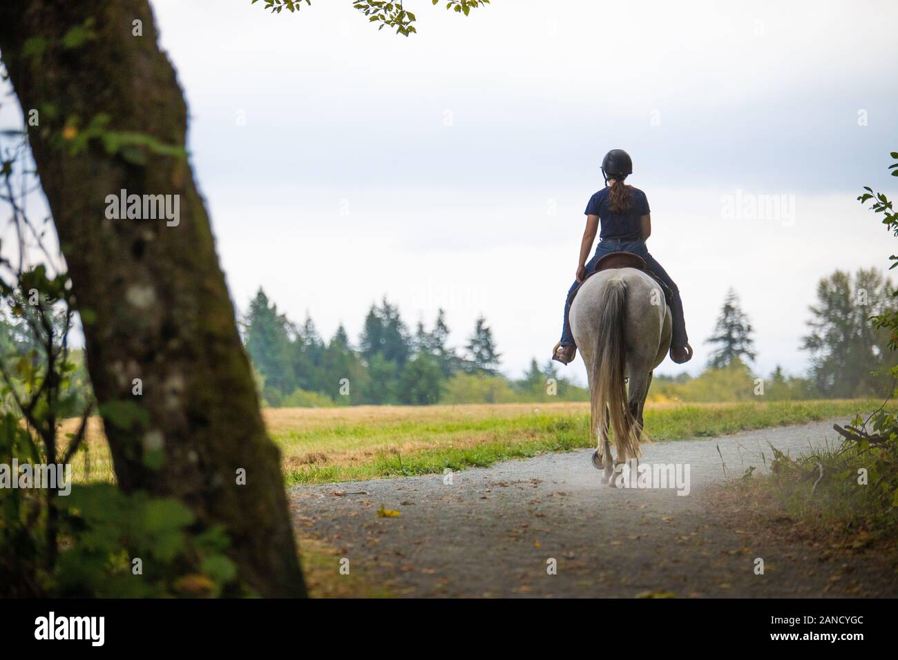 Rear view of female horseback rider on tranquil trail Stock Photo - Alamy