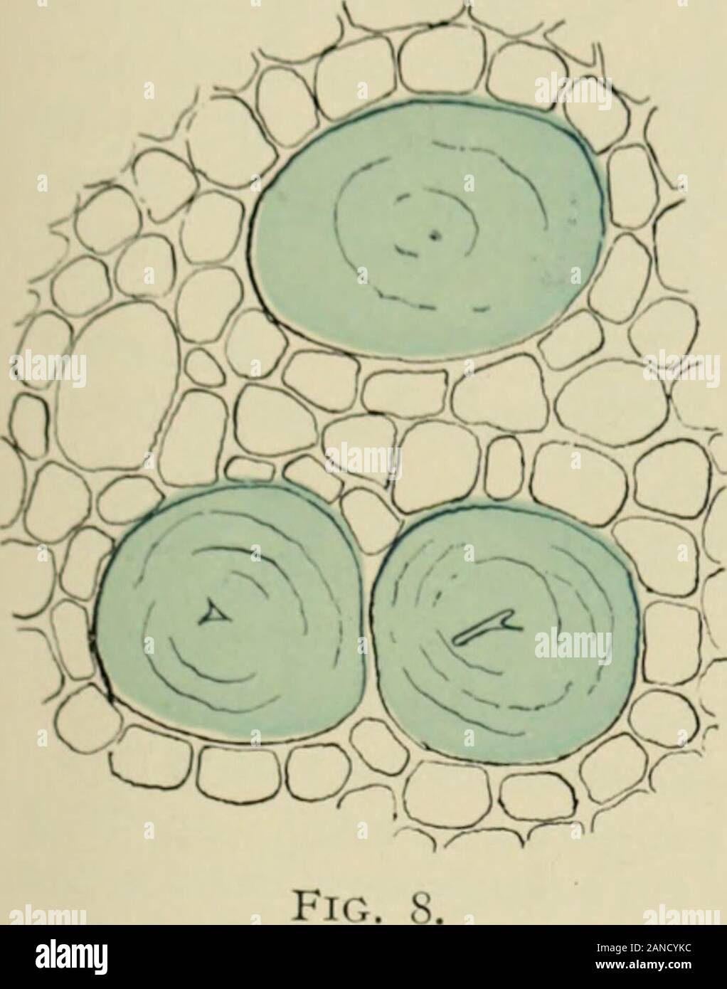 Acicular Crystals High Resolution Stock Photography and Images - Alamy