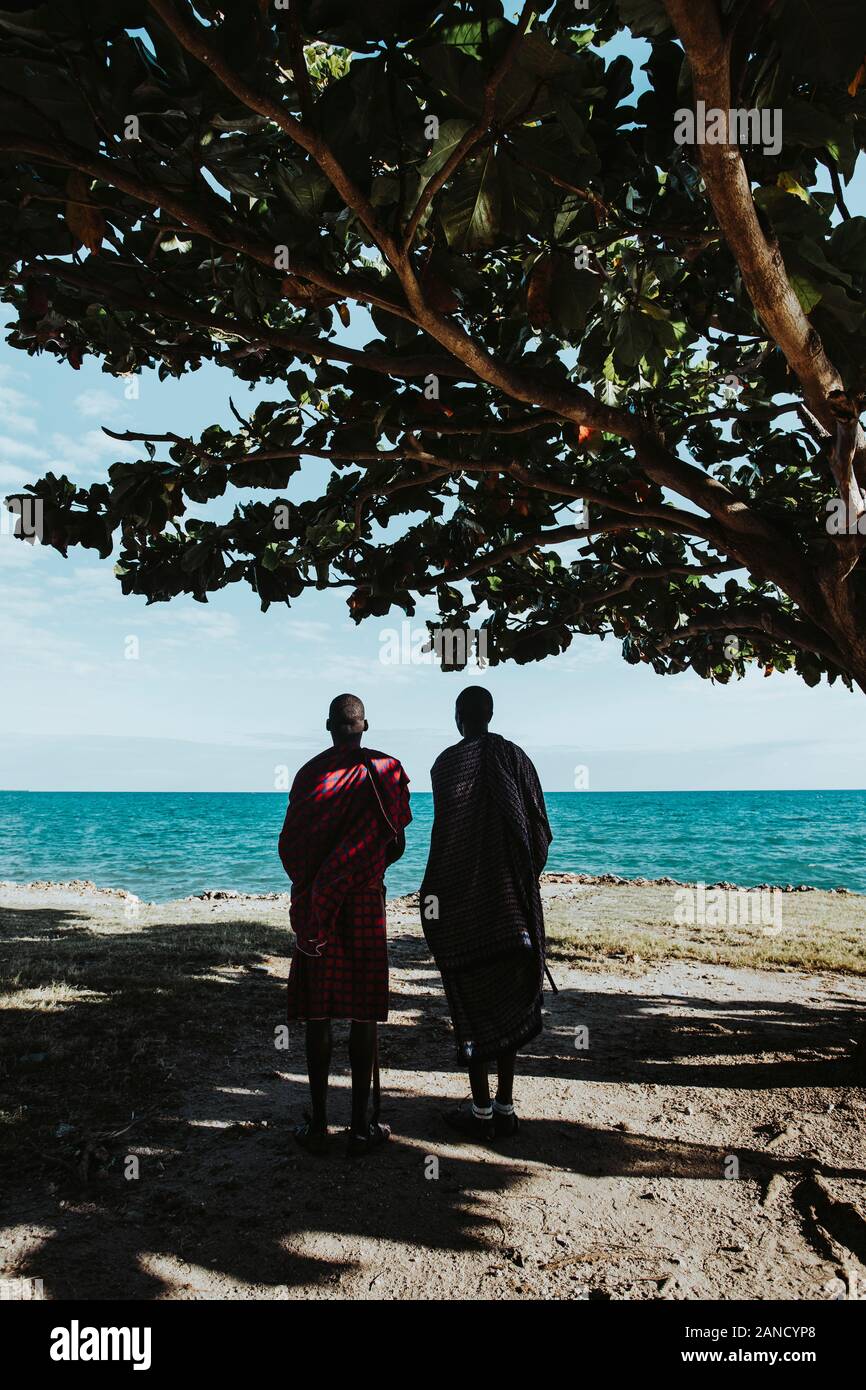Two masai men in traditional clothes standing under big mkungu tree ...