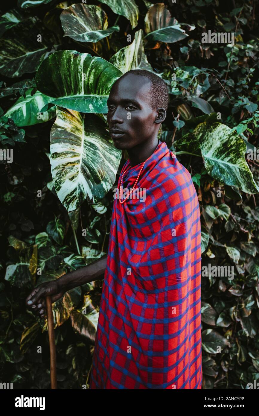 Maasai Warrior Tree High Resolution Stock Photography and Images - Alamy