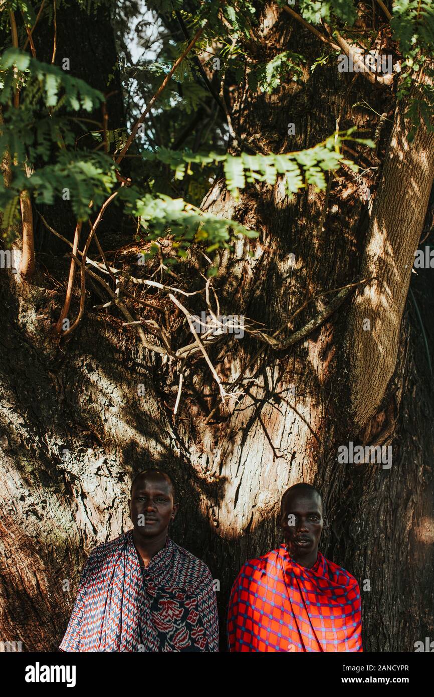 Mkungu tree hi-res stock photography and images - Alamy