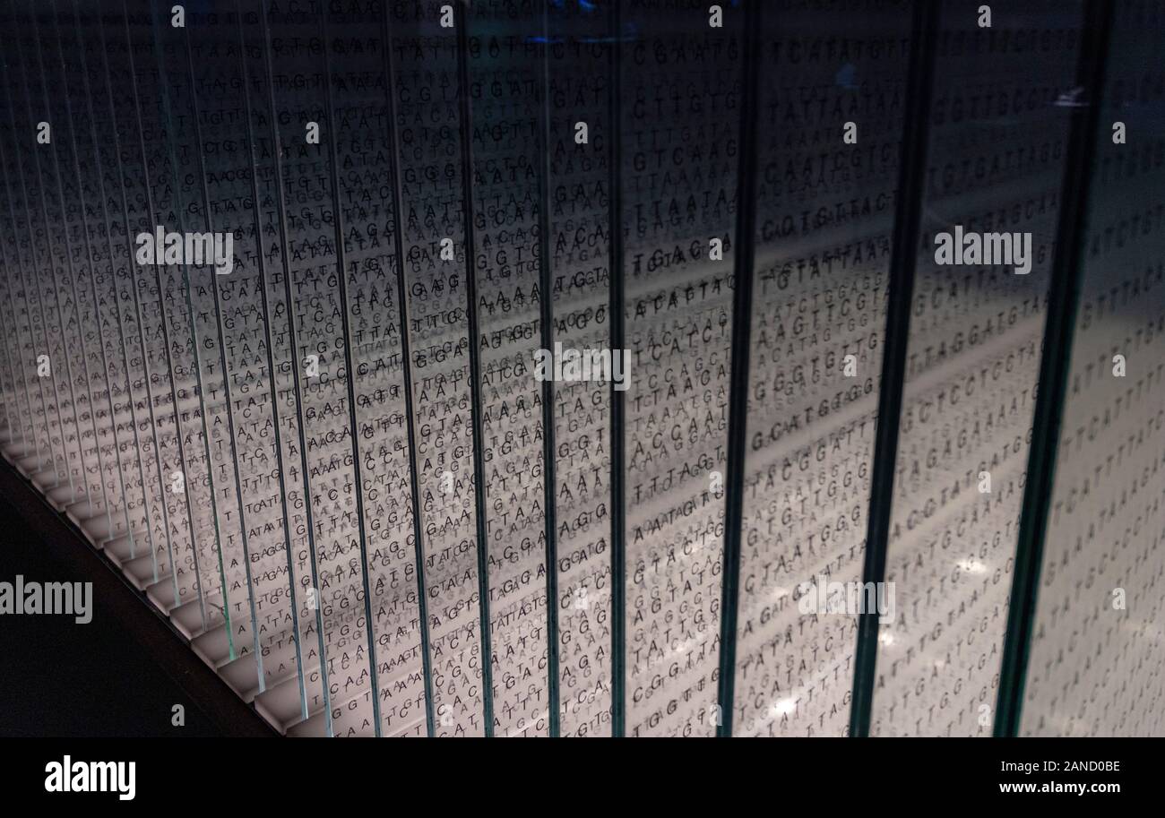 Geometry, letters, balls and colors in the museum Stock Photo - Alamy