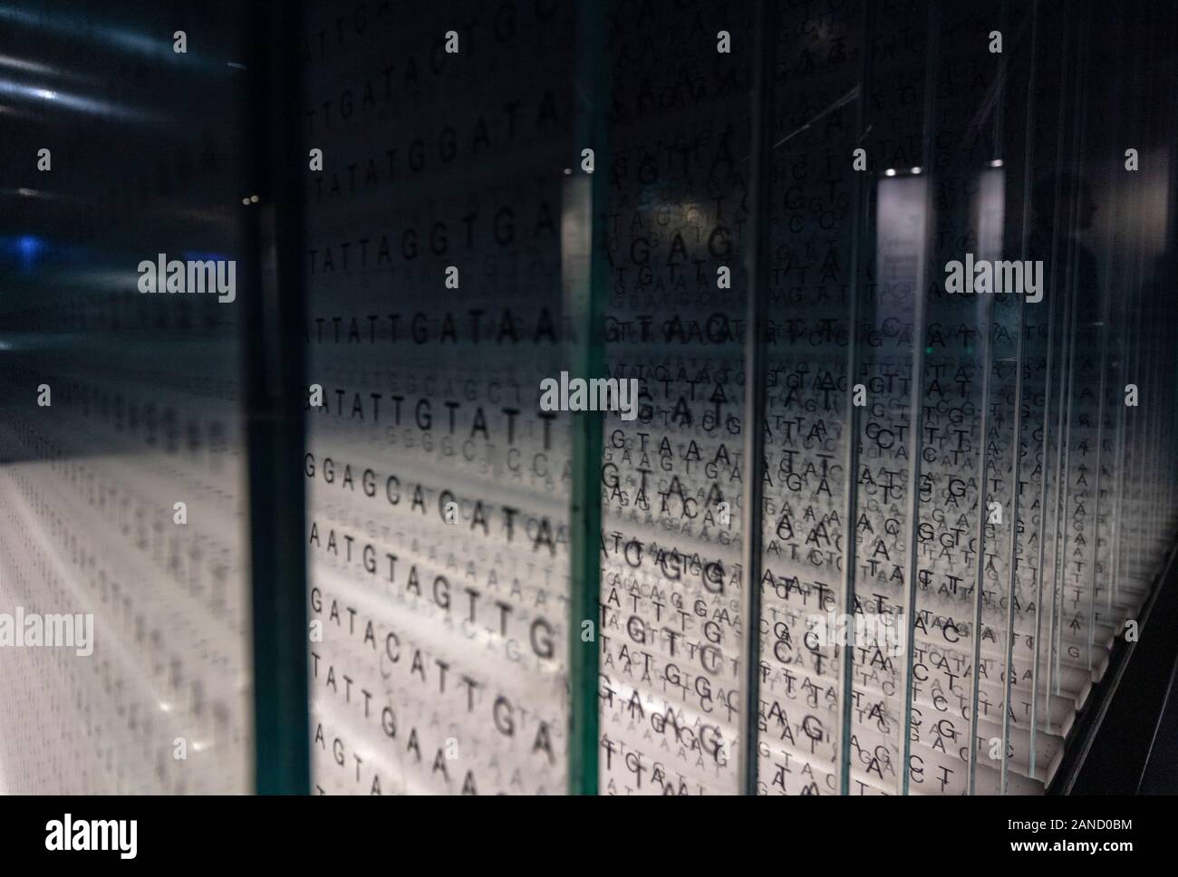 Geometry, letters, balls and colors in the museum Stock Photo - Alamy