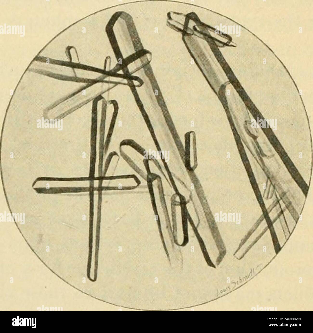 Practical physiological chemistry; a book designed for use in courses ...