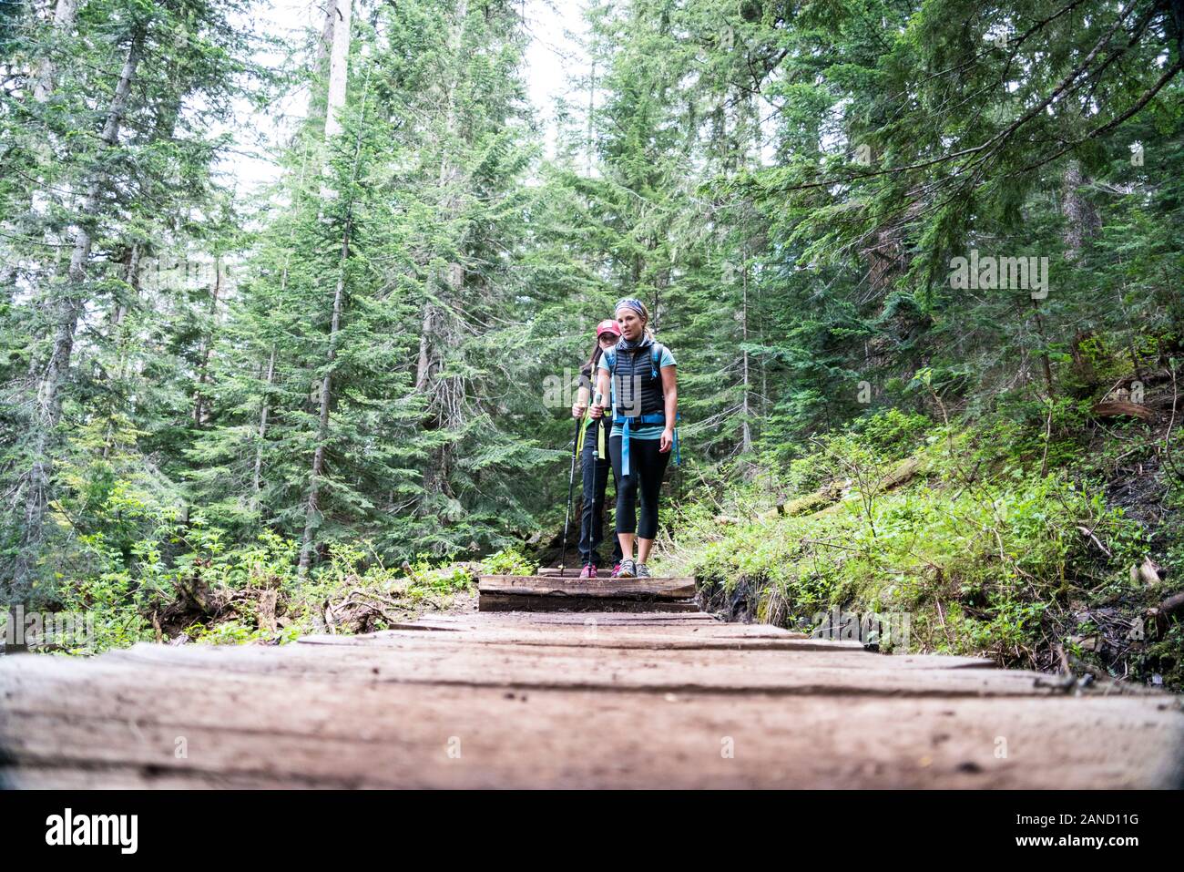 Melissa Arnot and Jen Ator, Coleman Deming Route, Mt. Baker, WA Stock ...