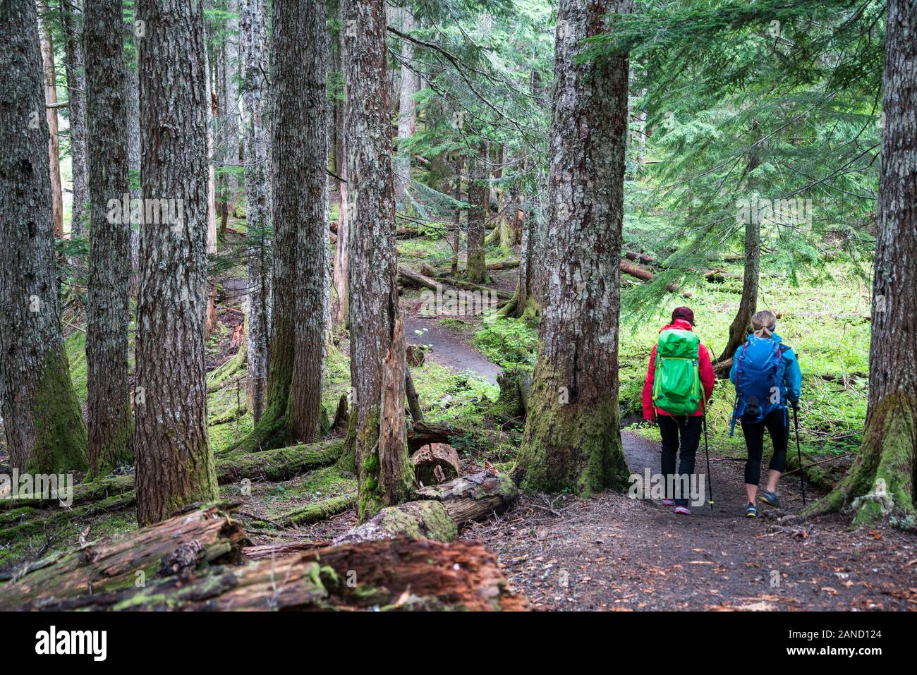 Melissa Arnot and Jen Ator, Coleman Deming Route, Mt. Baker, WA Stock ...