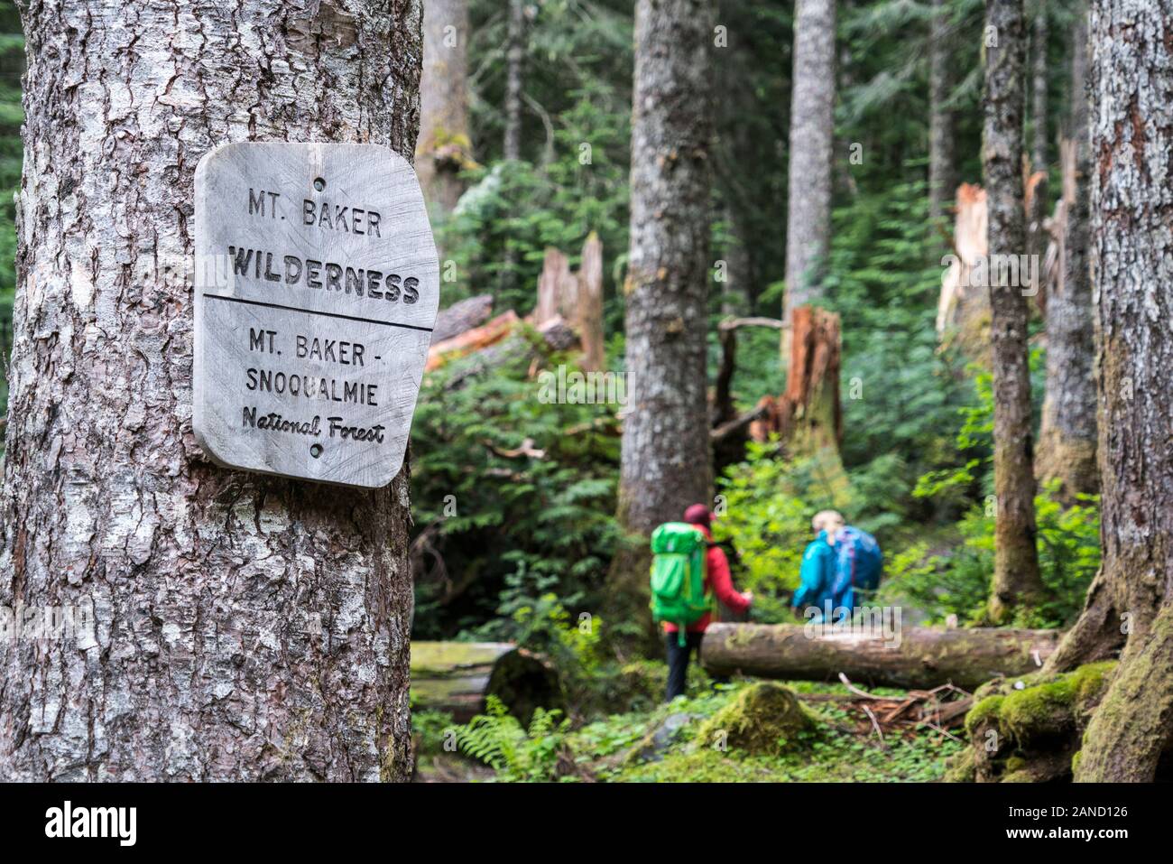 Melissa Arnot and Jen Ator, Coleman Deming Route, Mt. Baker, WA Stock ...