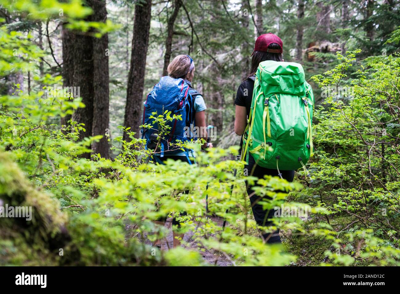 Melissa Arnot and Jen Ator, Coleman Deming Route, Mt. Baker, WA Stock ...