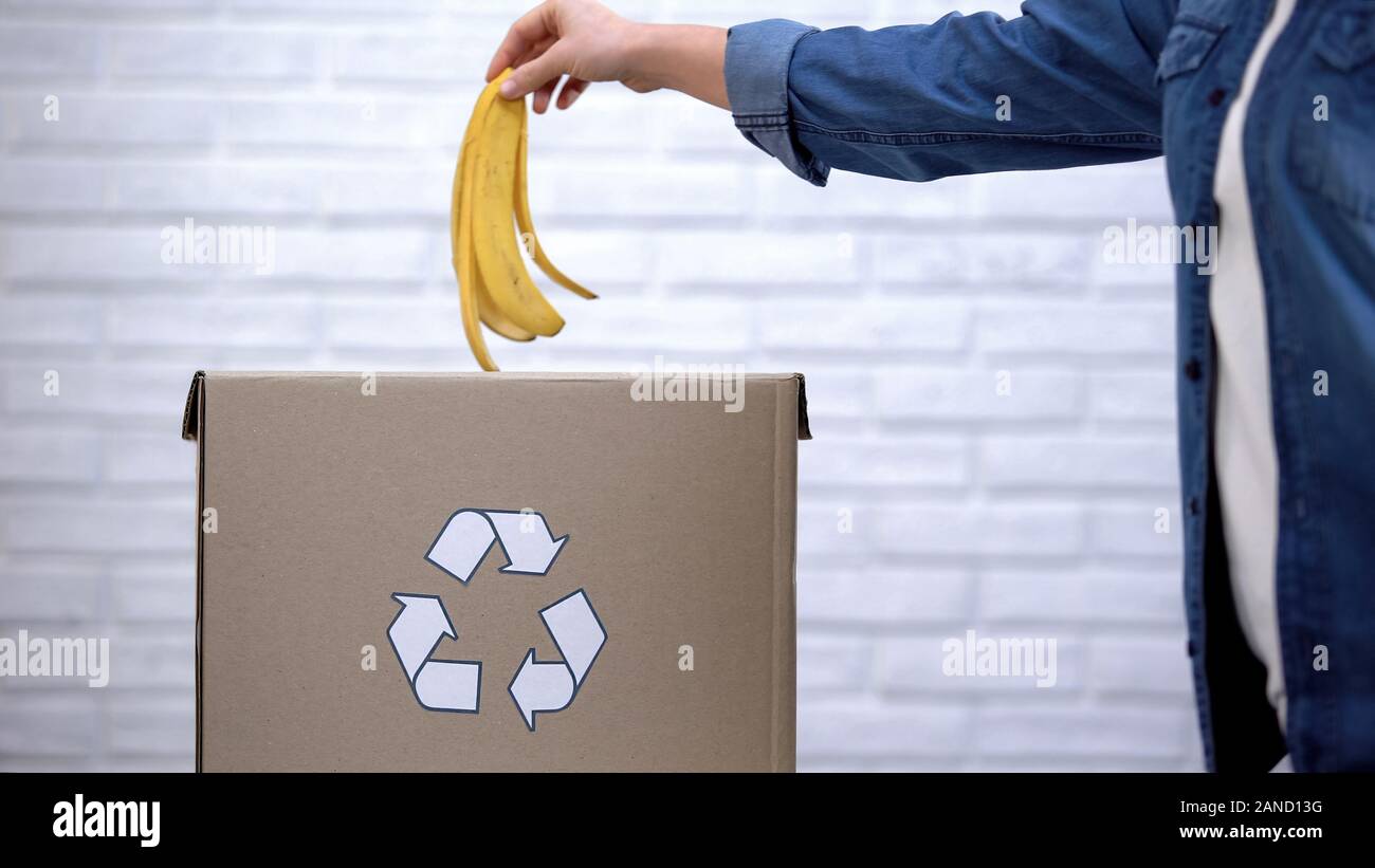 Person throwing banana peel into trash bin, organic waste sorting ...