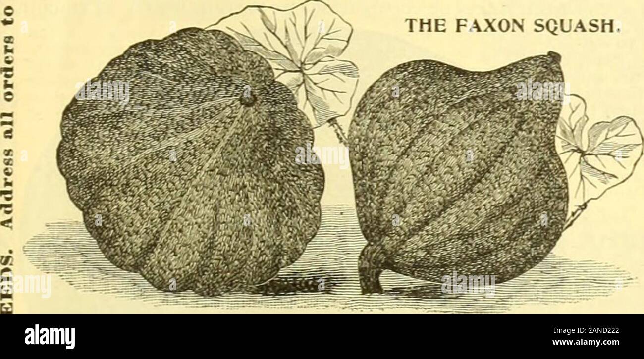 Maule's seed catalogue : 1895 . Buhach. The Great California Insect ...