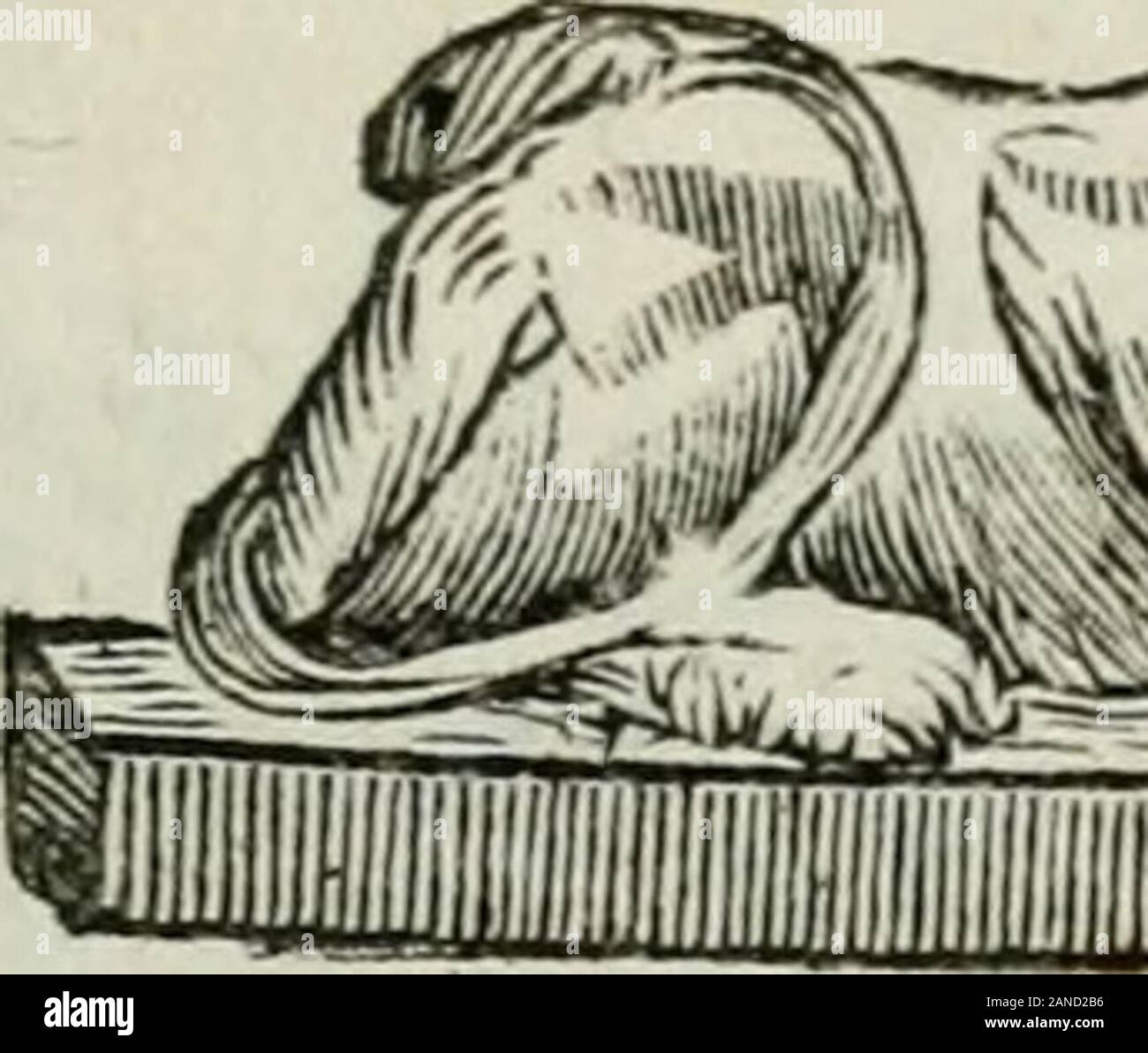 Fables de Lessing . LIVRE I. Aussitôt le lion ,Qui, séveillant en ...