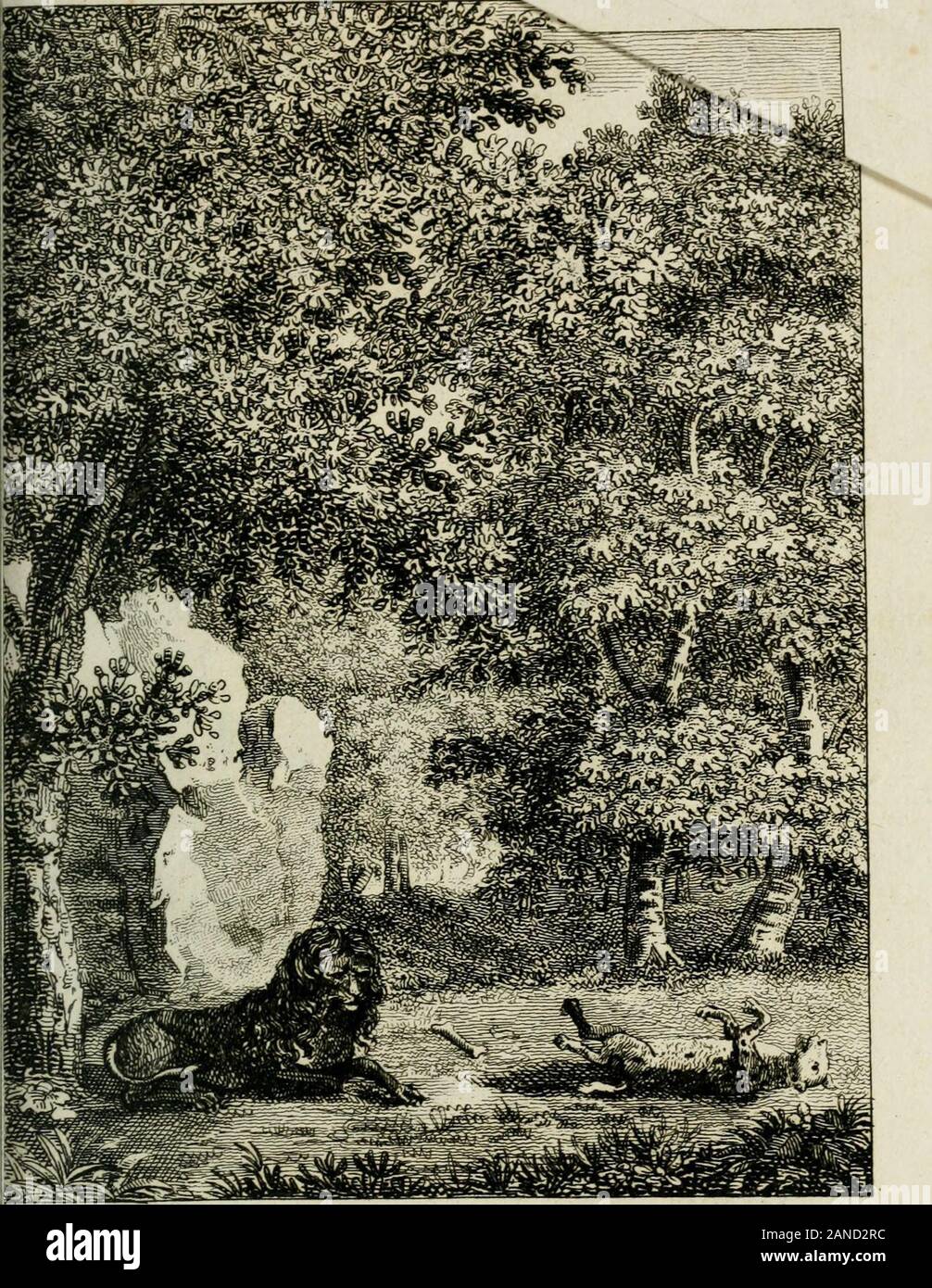 Yeux de tremble hi-res stock photography and images - Alamy