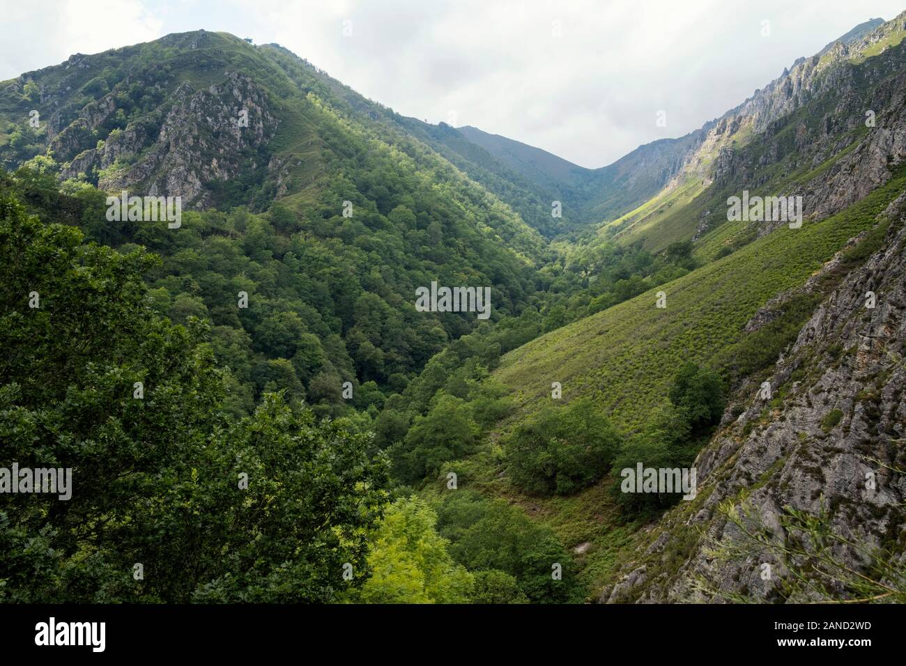 Ponga natural park asturias hi-res stock photography and images - Alamy