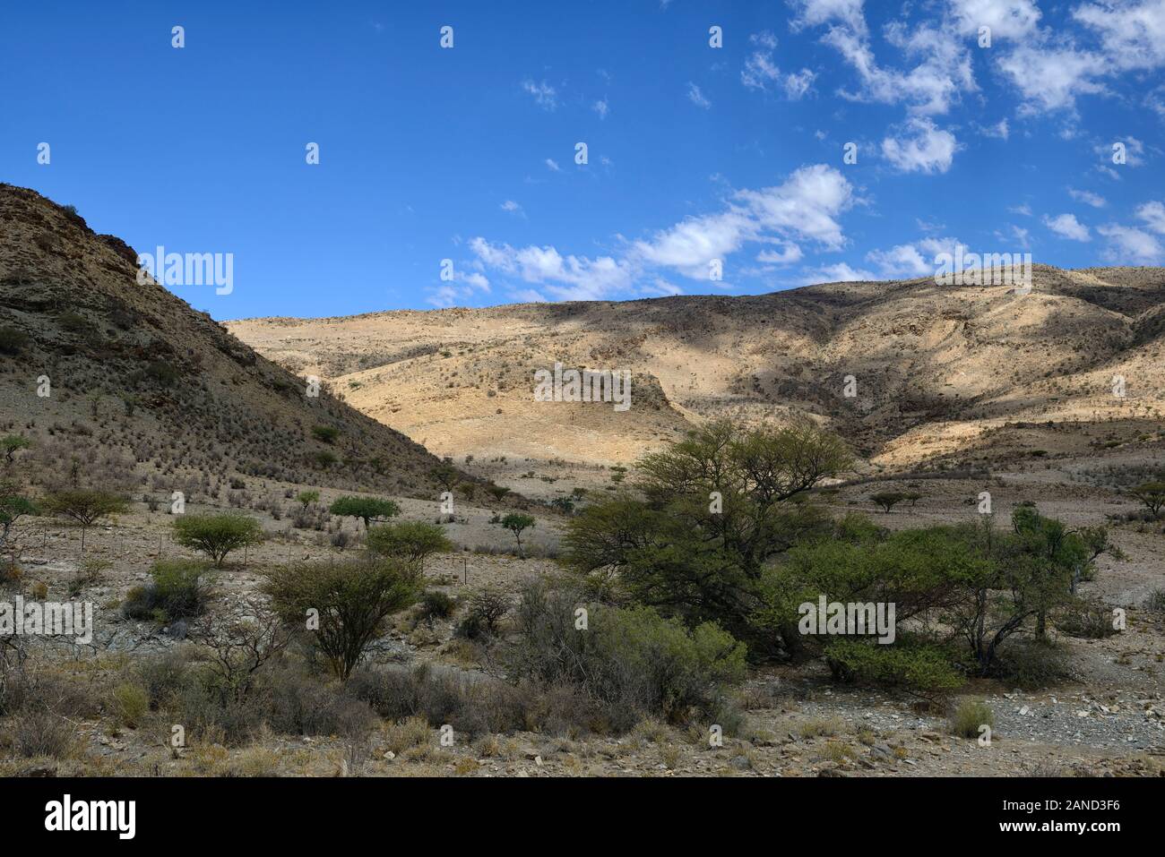 Dry scrubland hi-res stock photography and images - Alamy