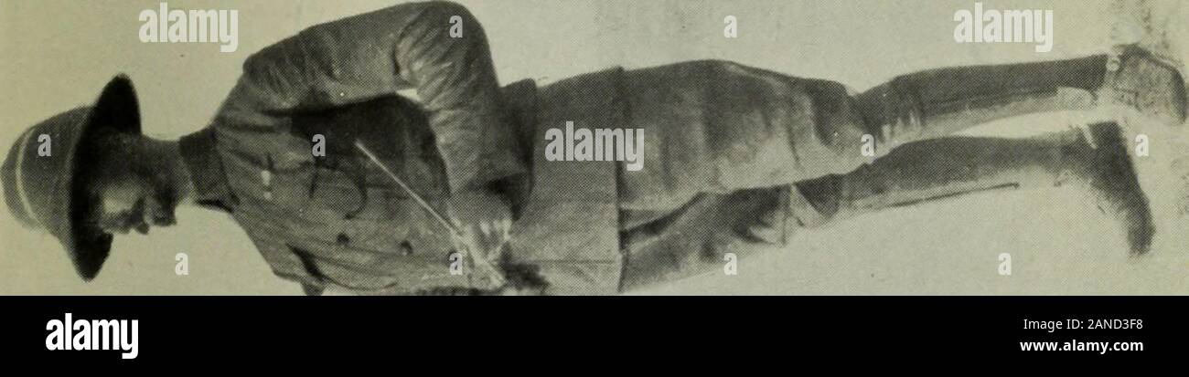 Palmam qui meruit ferat hi-res stock photography and images - Alamy