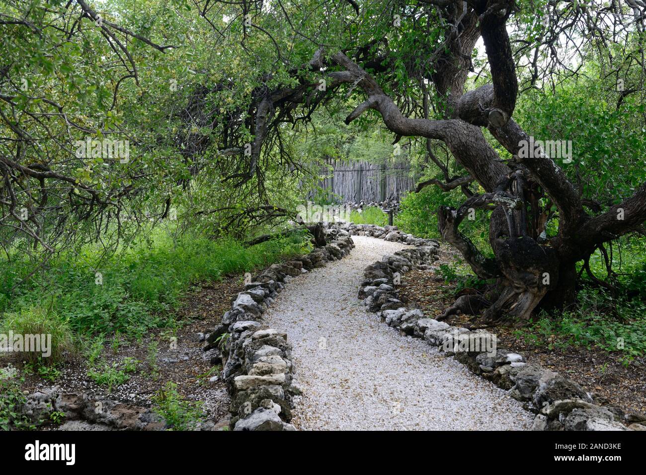 landscaped path,pathway,Onguma Tented Camp, Onguma Game Reserve ...