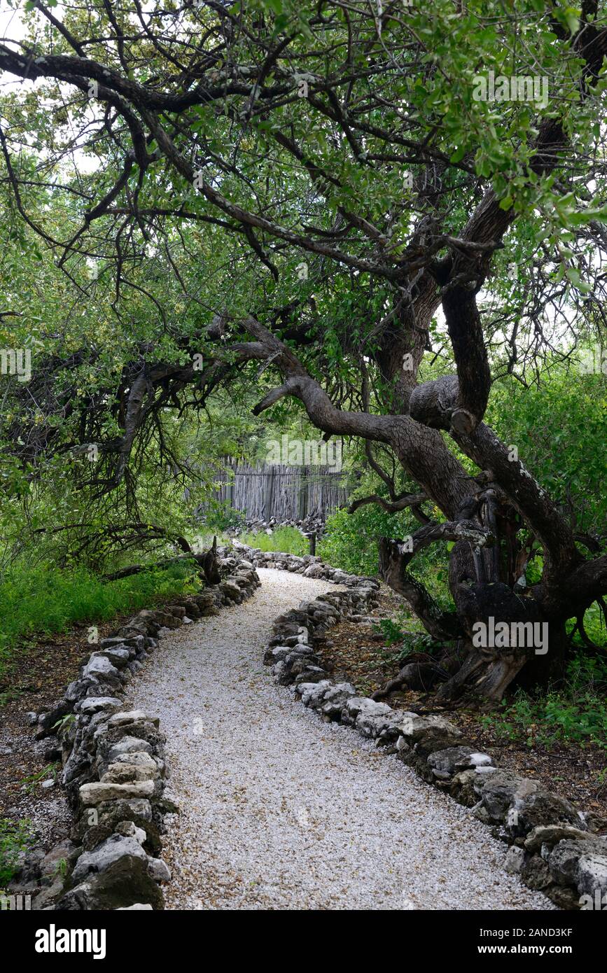 landscaped path,pathway,Onguma Tented Camp, Onguma Game Reserve ...