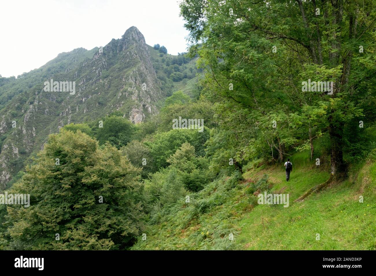 Ponga asturias spain hi-res stock photography and images - Alamy