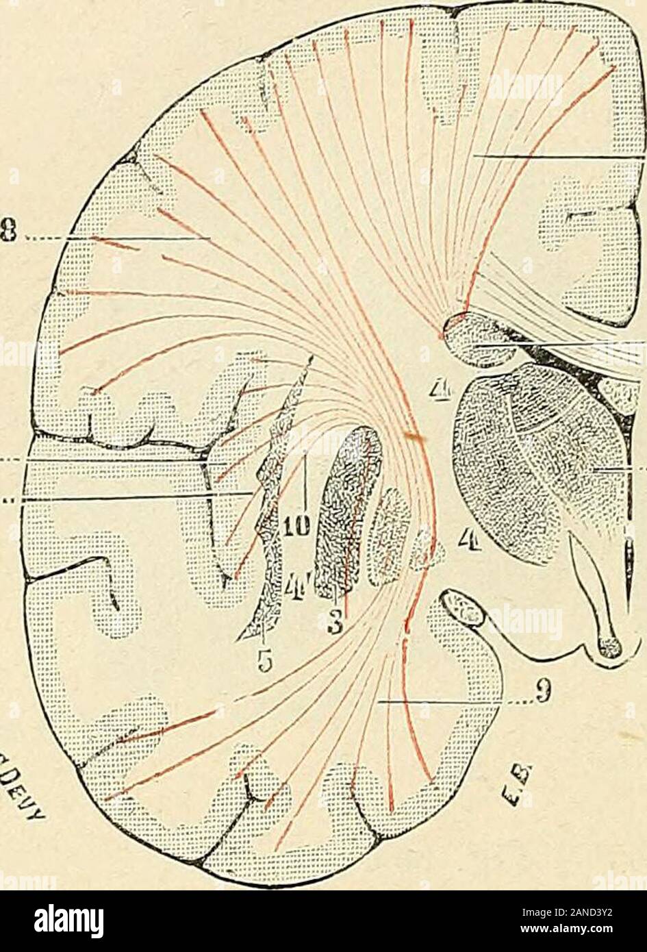 Lenticulaires hi-res stock photography and images - Alamy