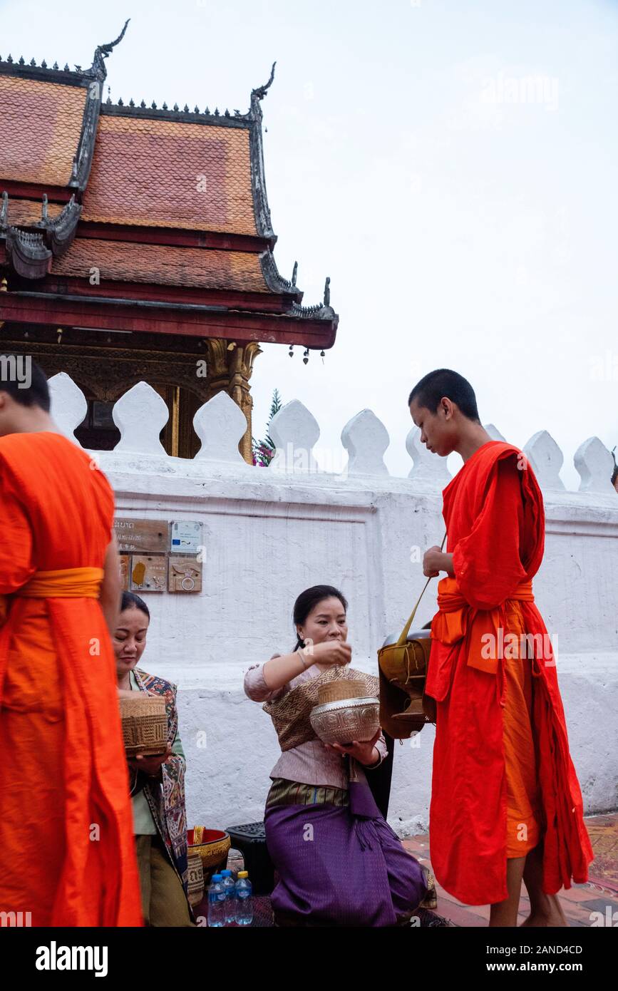 Monks and tourists participate in sai bat (morning alms giving), Luang ...