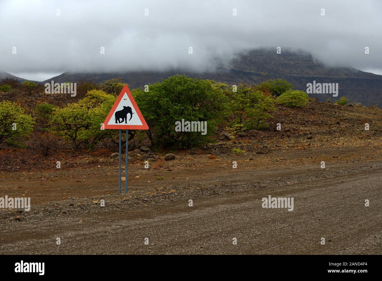 elephant crossing sign,warning sign,elephants corssing road sign,desert ...