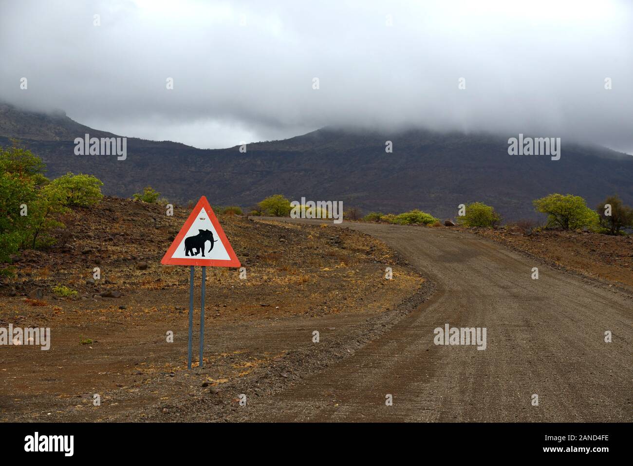 elephant crossing sign,warning sign,elephants crossing road sign,desert ...