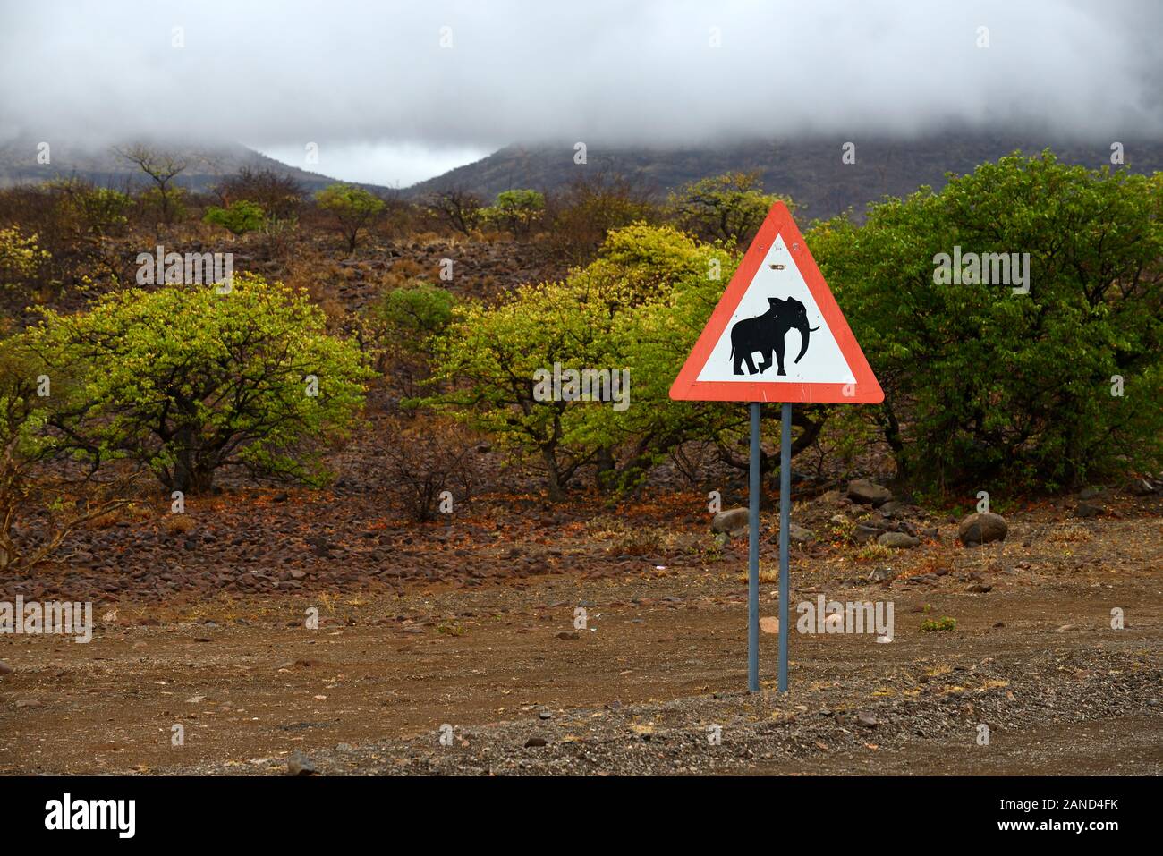 elephant crossing sign,warning sign,elephants corssing road sign,desert ...