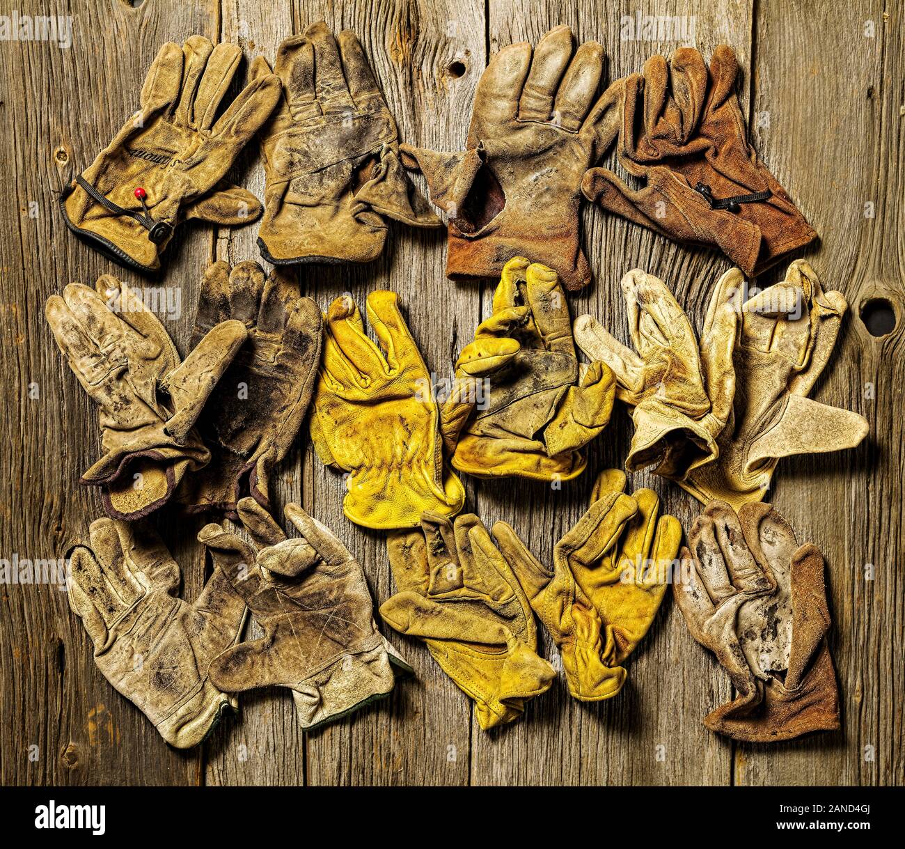 Studio still life close-up of worn leather work gloves Stock Photo - Alamy
