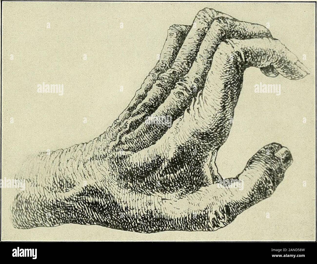 A text-book of clinical anatomy : for students and practitioners . Fig ...