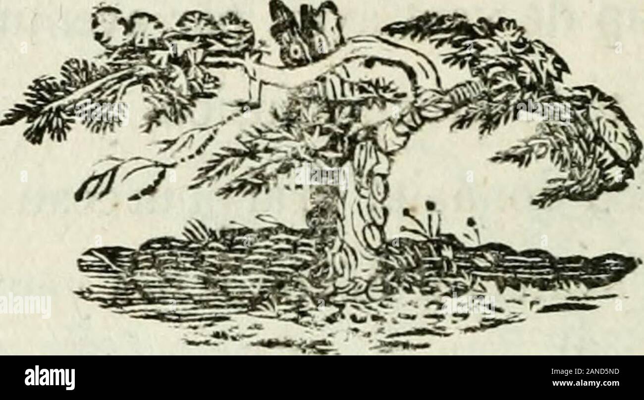 Fables de Lessing . LIVRE I. 4i FABLE XV. LE PORC ET LE CHENE. CJ N ...