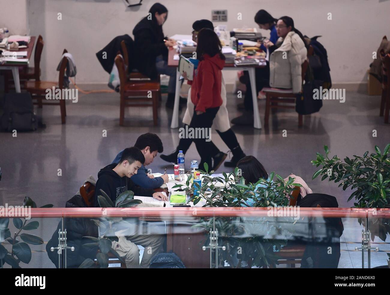 Applicants study at the library of Shenyang Agricultural University for ...