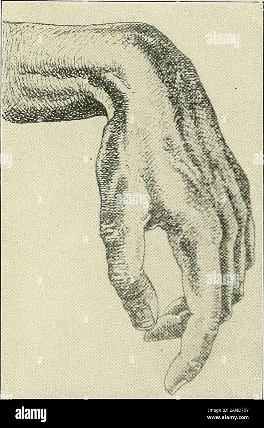 A text-book of clinical anatomy : for students and practitioners ...