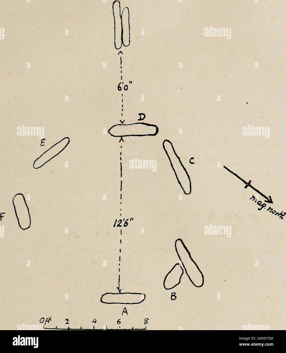 Ogham letters hi-res stock photography and images - Alamy