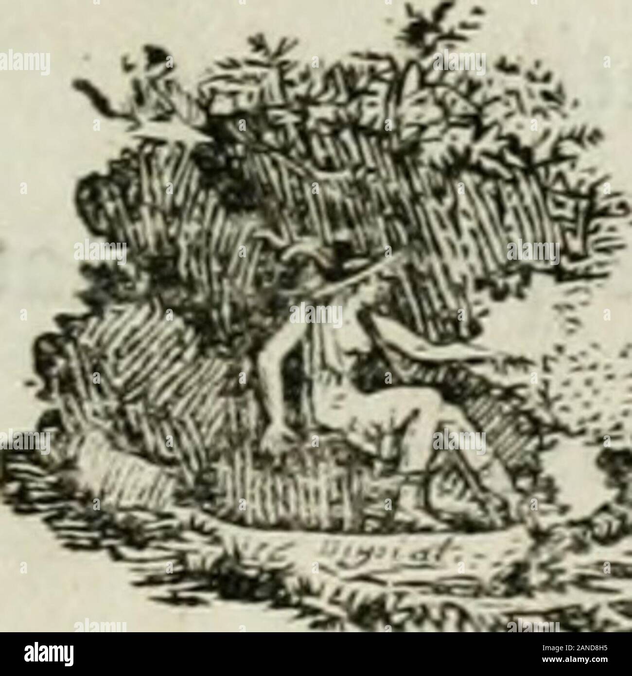 Porte de pâturage hi-res stock photography and images - Alamy