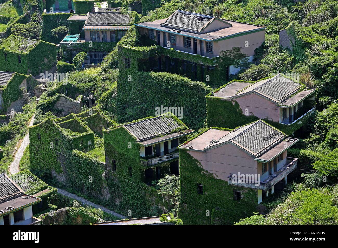 --File--View of the houses covered by vines in Shengsi Islands in ...