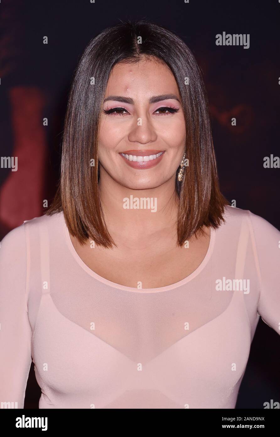 HOLLYWOOD, CA - JANUARY 14: Sandra Gutierrez attends the premiere of ...