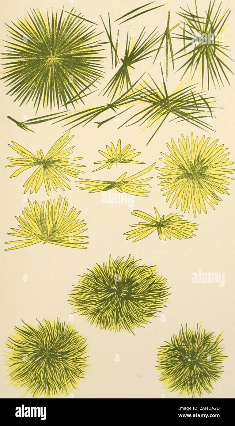 Practical physiological chemistry; a book designed for use in courses ...