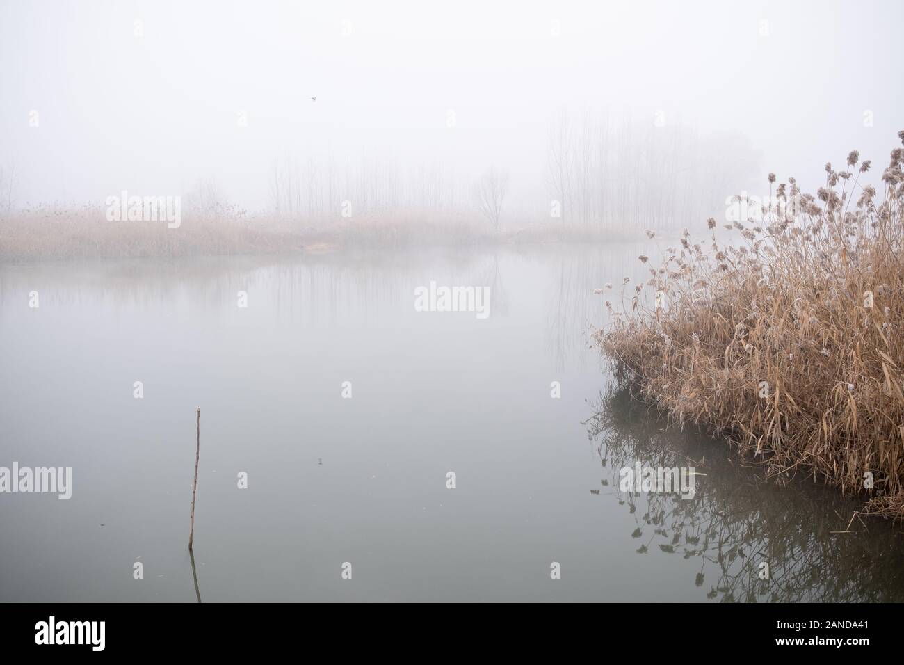 Baoding china pollution hi-res stock photography and images - Alamy