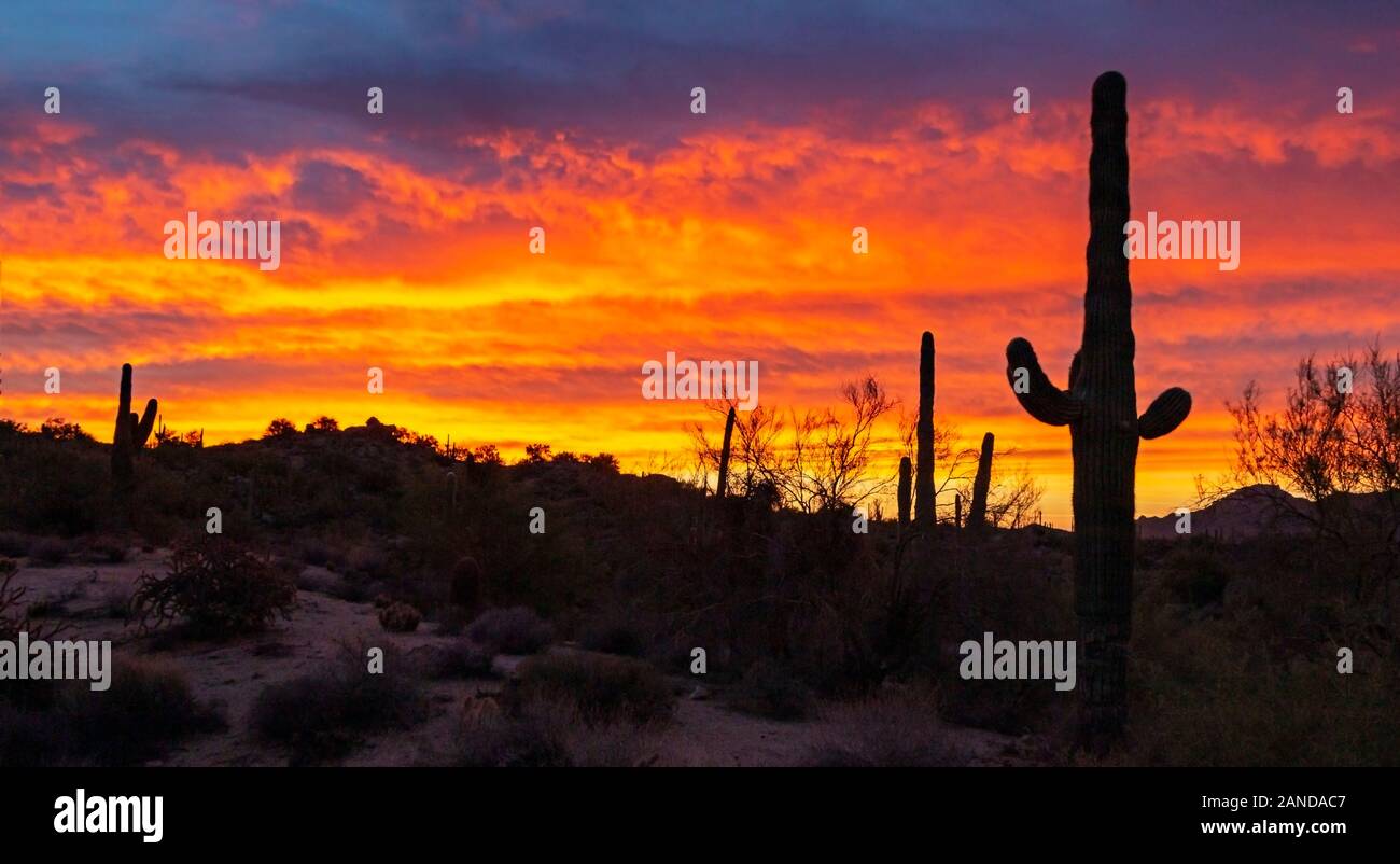 American southwest desert landscape hi-res stock photography and images ...