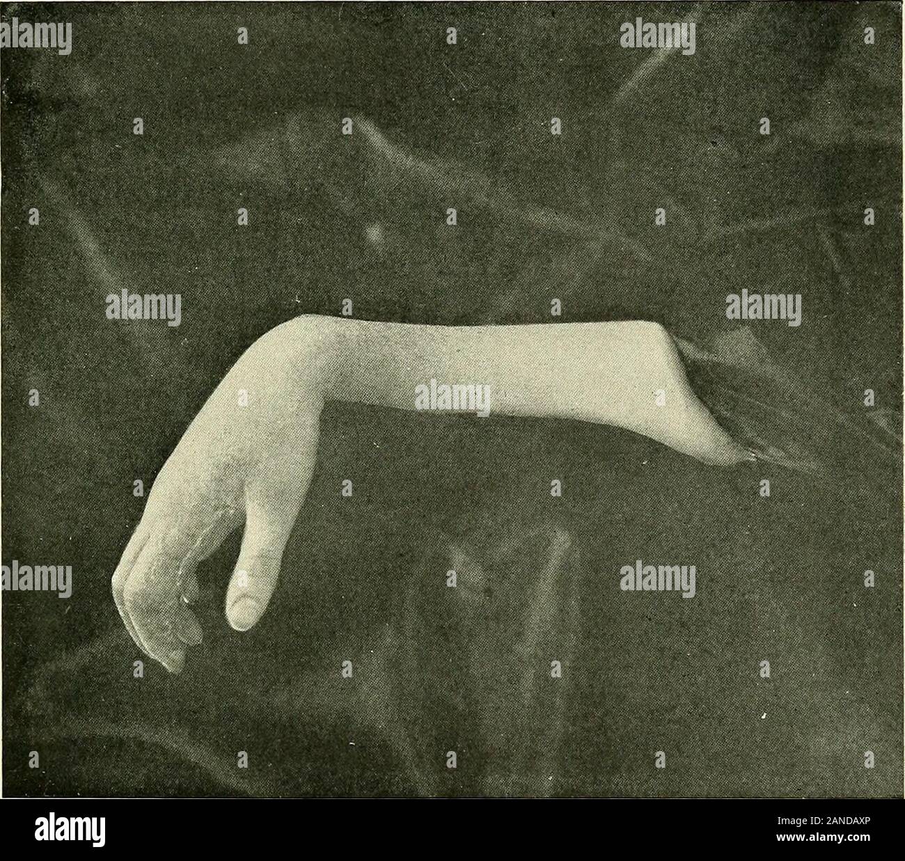 A text-book of clinical anatomy : for students and practitioners ...