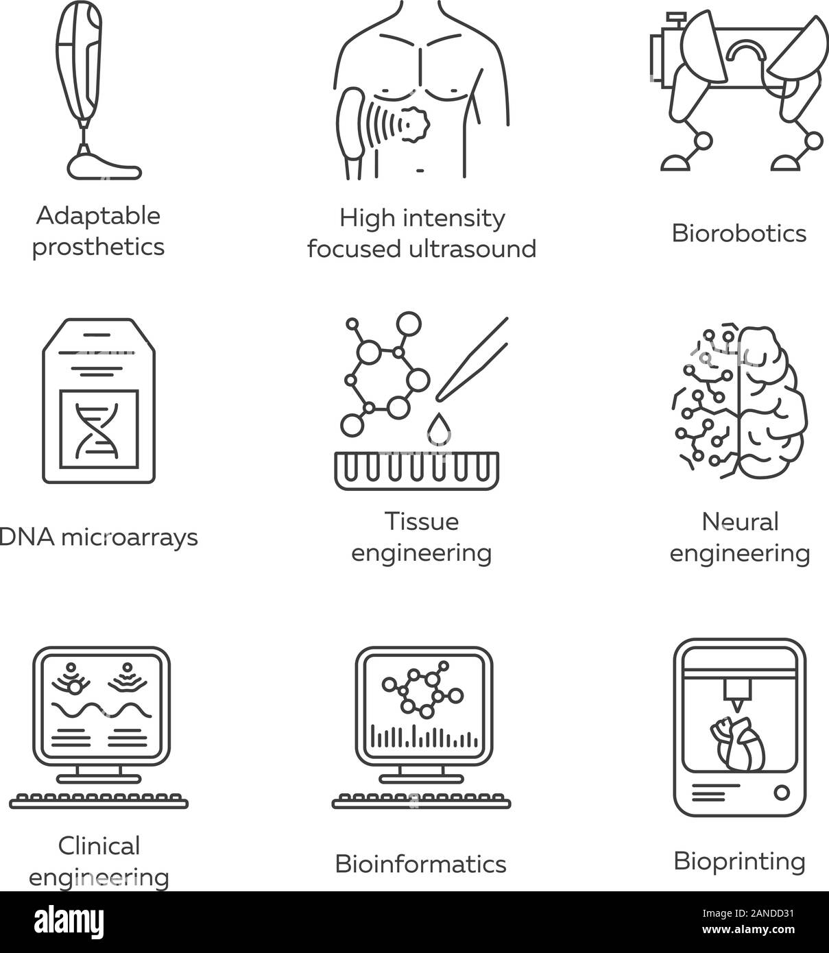 Bioengineering linear icons set. Biotechnology. Molecular biology ...