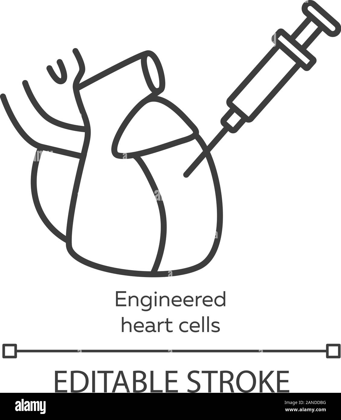 Engineered heart cells linear icon. Human engineered cardiac tissues ...